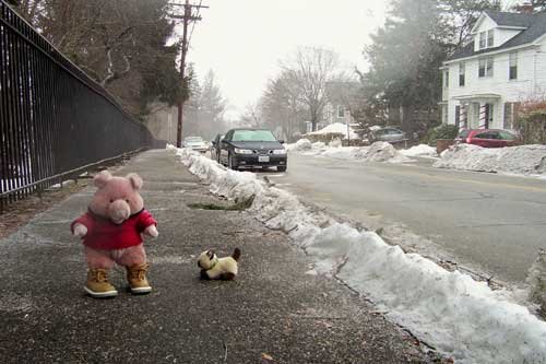 The adventures of Hamlet and Yorick - The Concord Insider