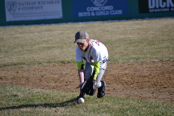 Colorful collaboration - The Concord Insider