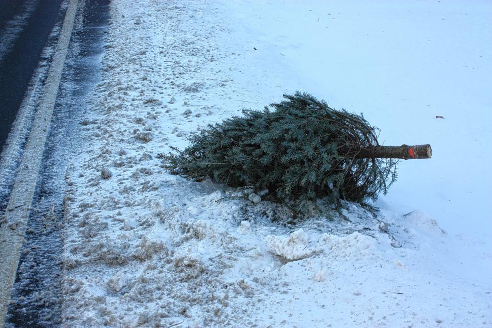 Christmas Tree Natural Gas at Charles Mcclelland blog