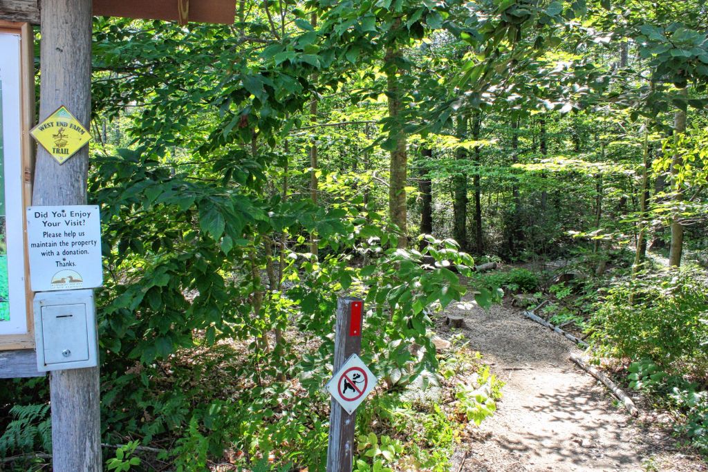 The McLane Center has a whole lot going on - The Concord Insider