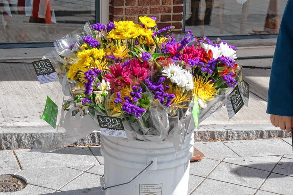 Beyond the Cubicle: Tim gave flowers to complete strangers - The ...