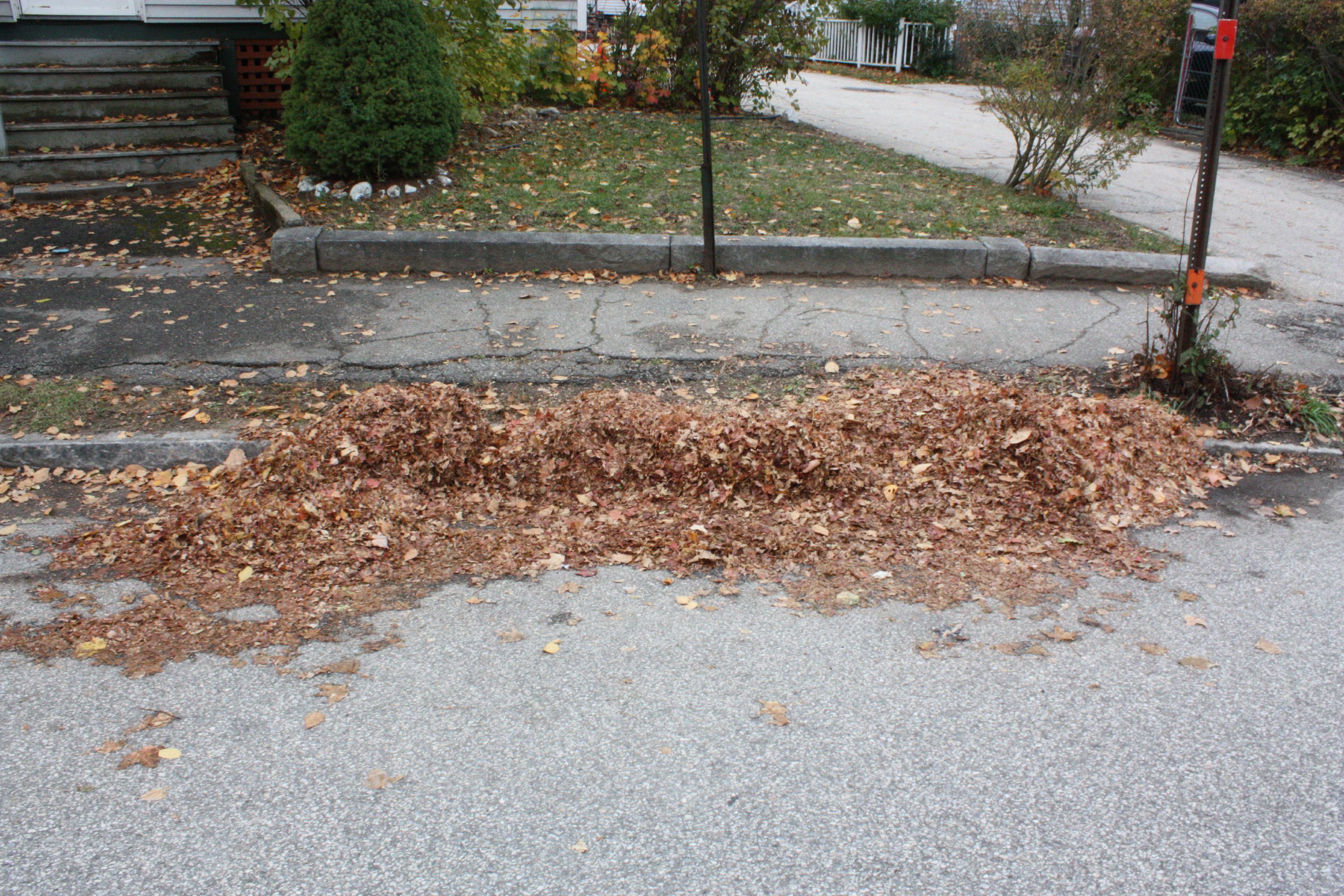 Go Try It: Can you rake the biggest leaf pile in the city? - The ...
