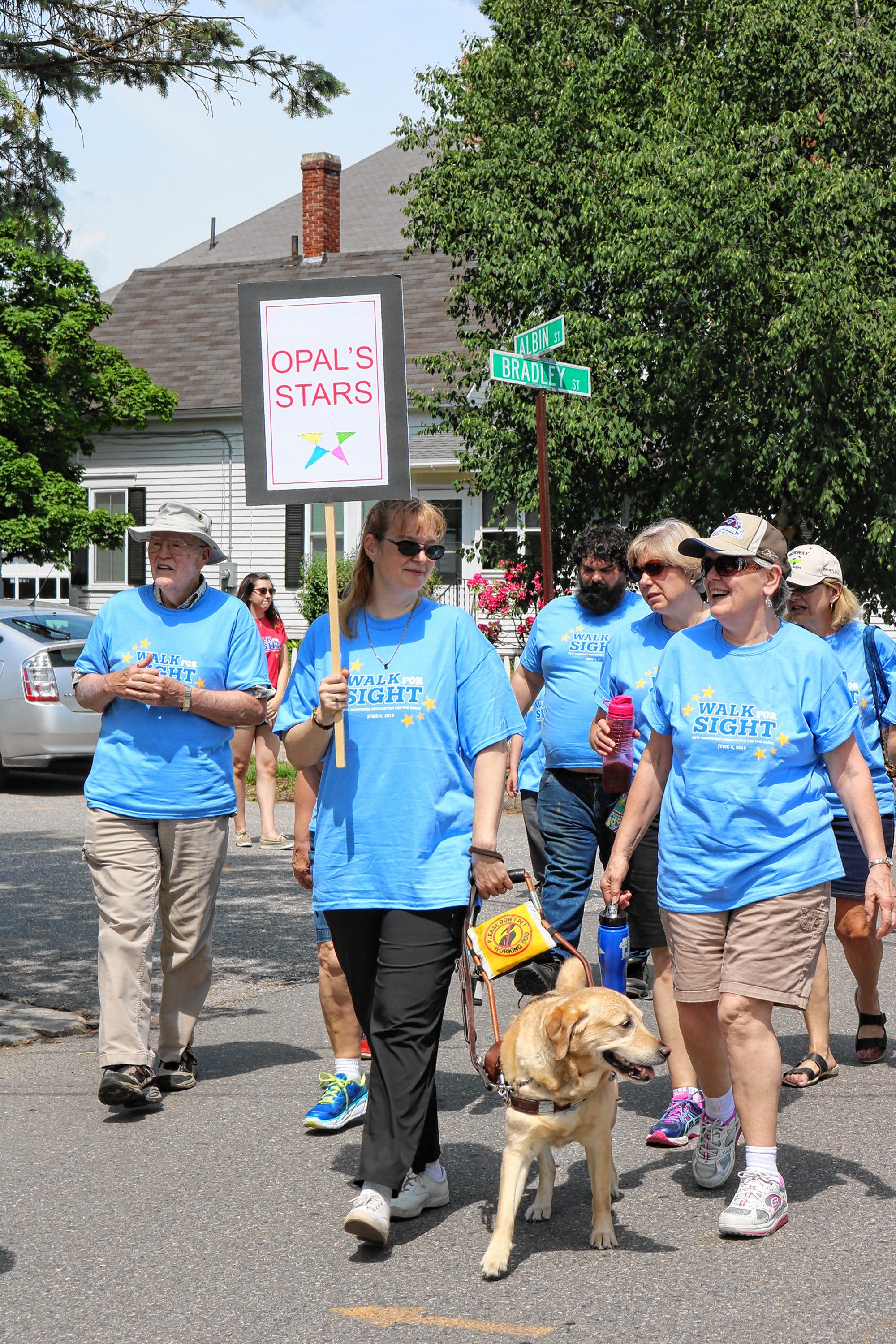 Take a stroll for a cause at the Walk for Sight - The Concord Insider