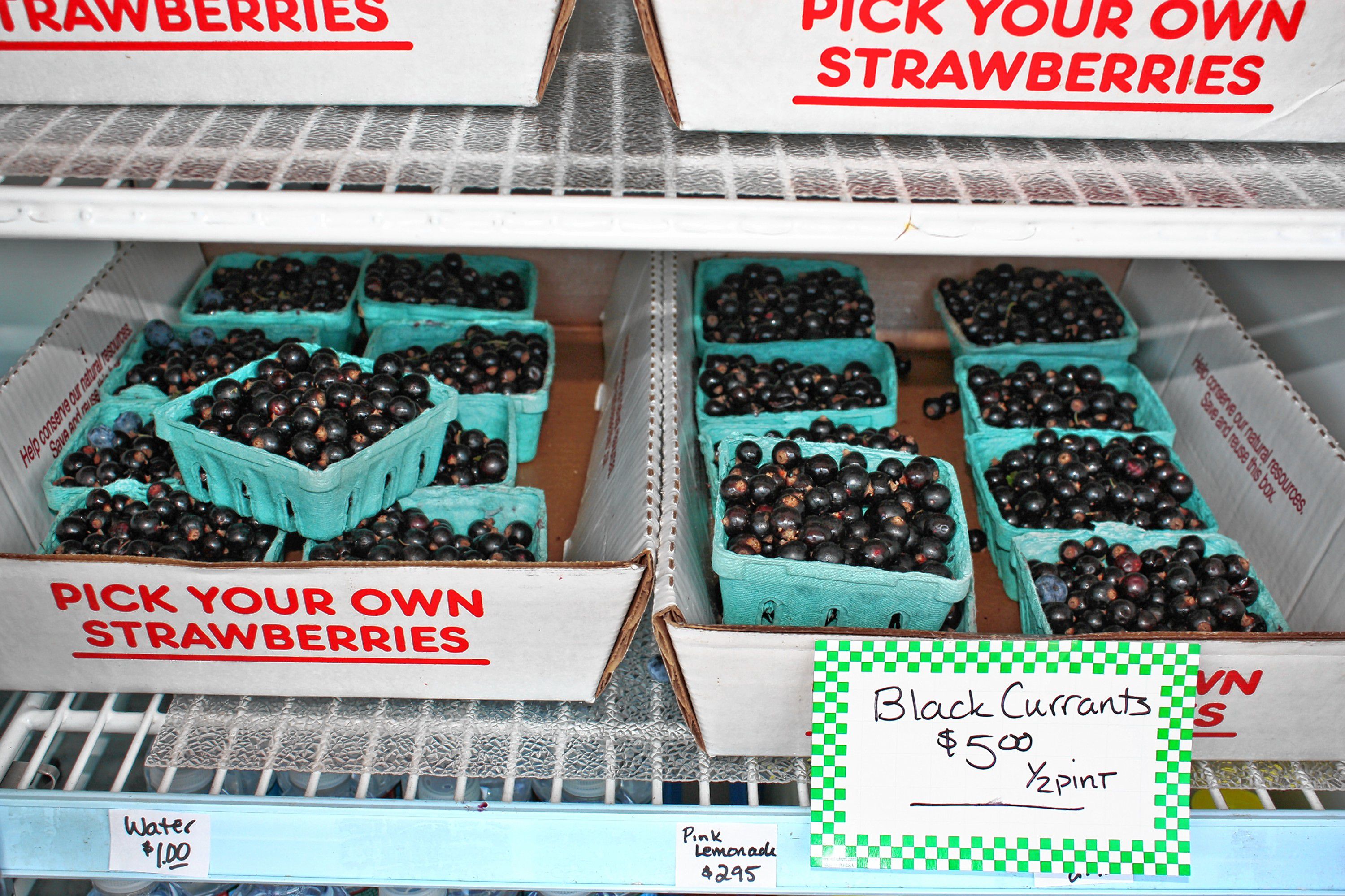 We took a tour of local farmstands to see what’s fresh right now - The ...