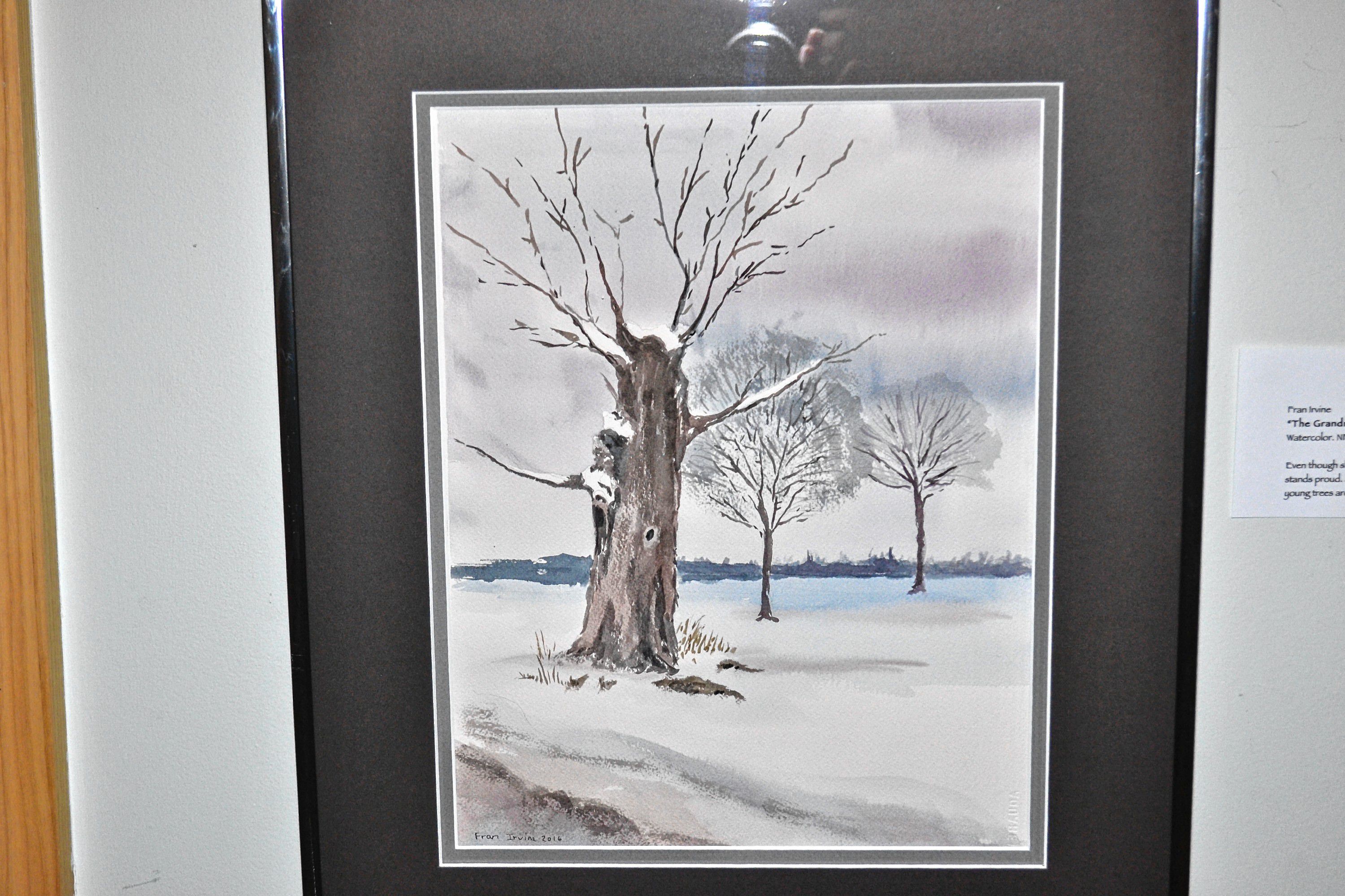 The Grandmother Tree, Fran Irvine. TIM GOODWIN / Insider staff - The ...