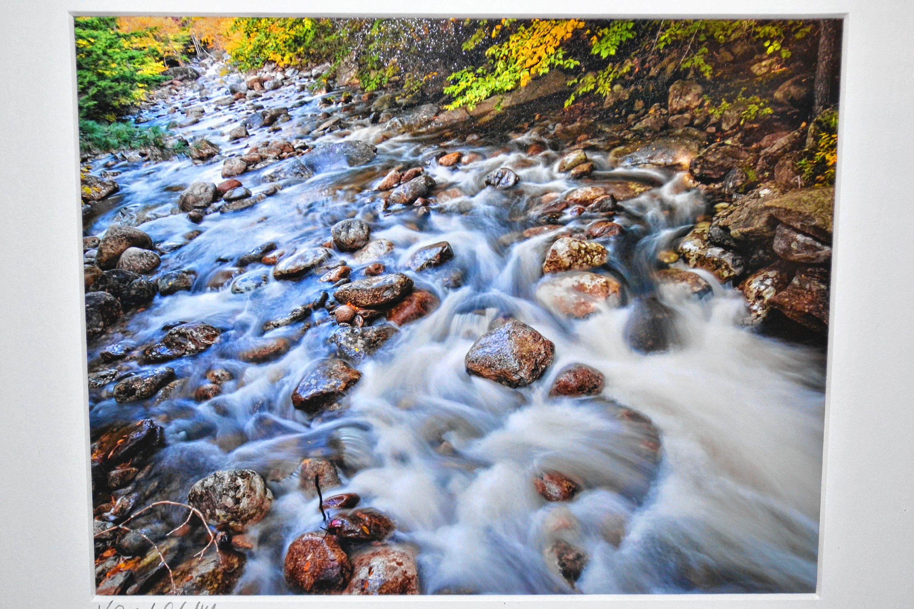 N.H. nature photographs at Forest Society - The Concord Insider