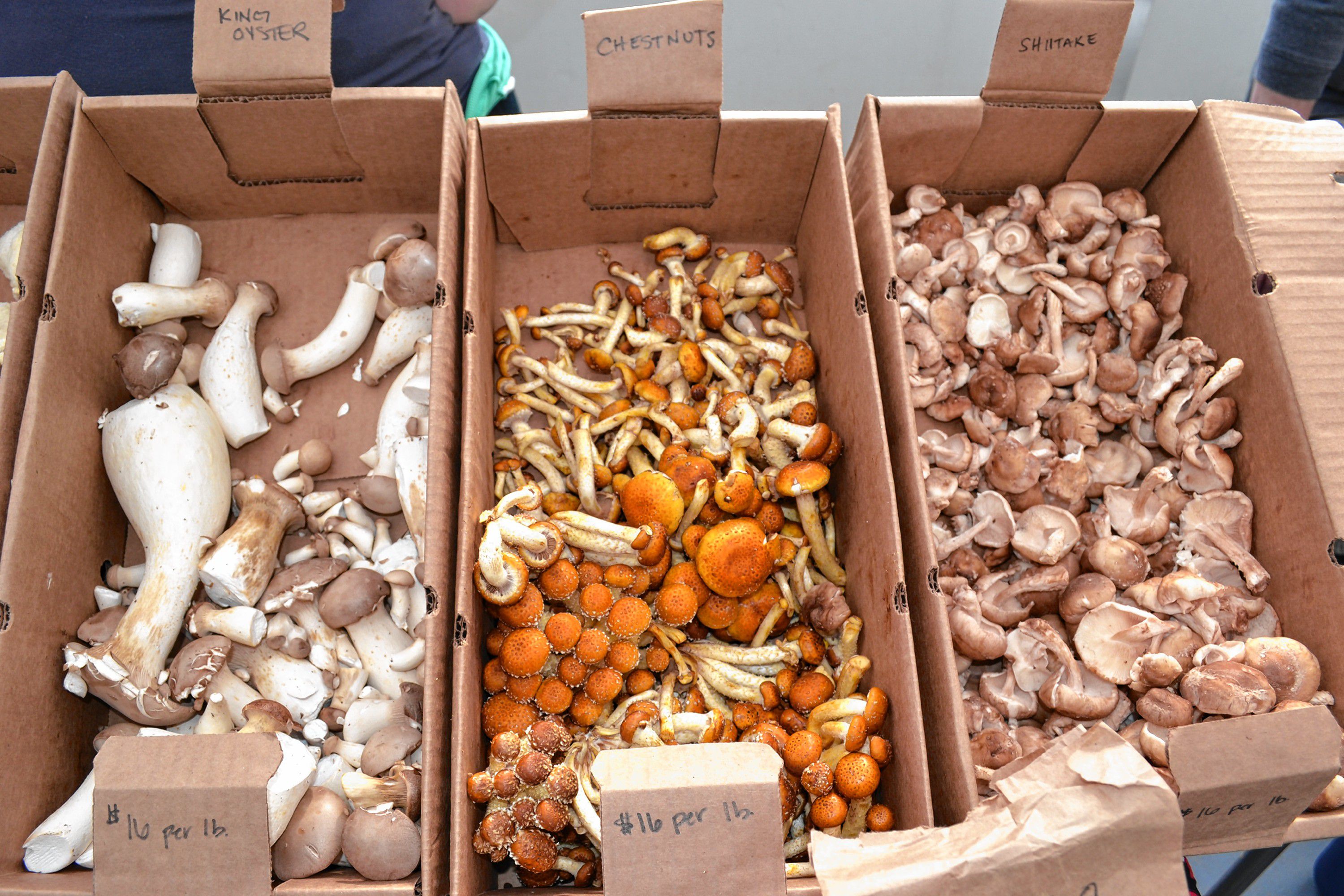Assorted mushrooms from N.H. Mushroom Company. TIM GOODWIN / Insider ...