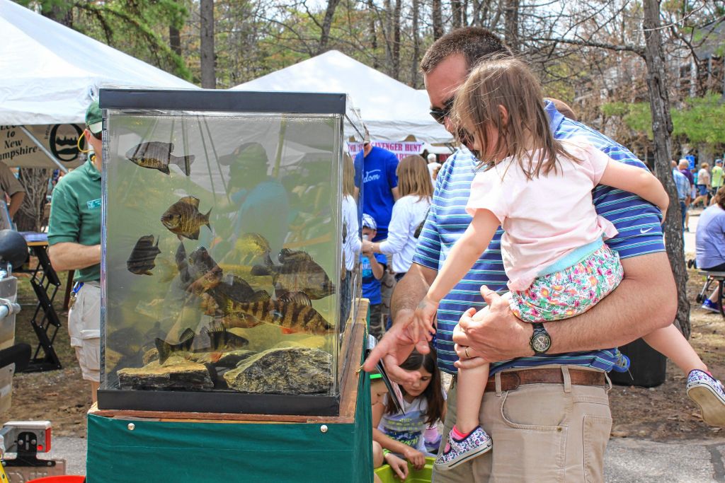 Bring the family and get wild at Discover WILD NH Day - The Concord Insider