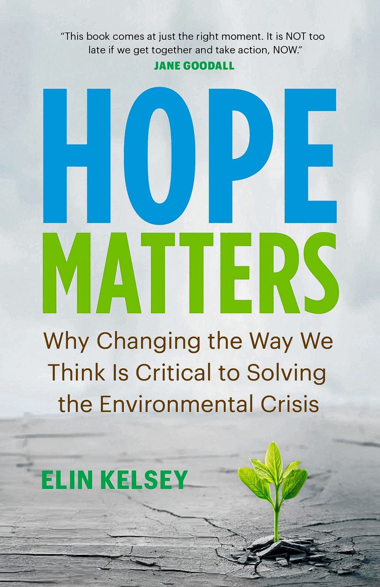 Hope Matters: Why Changing the Way We Think Is Critical to Solving the ...