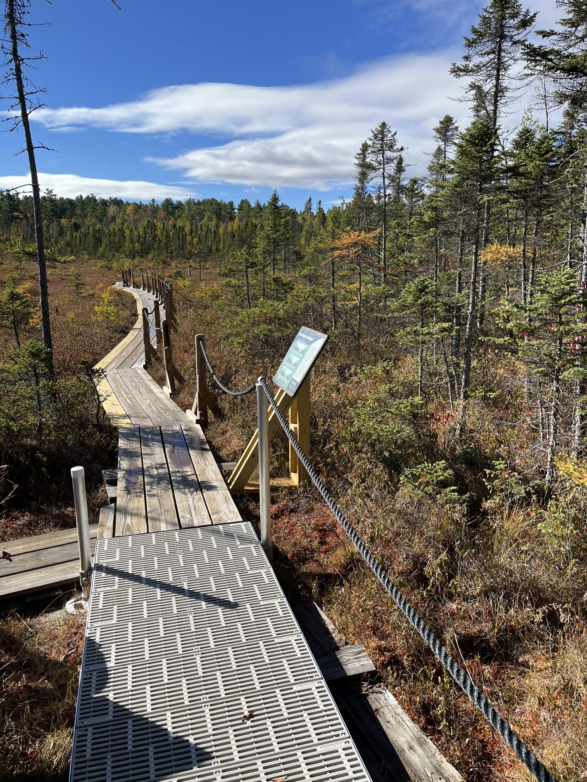 New London Conservation Commission completes Philbrick-Cricenti Bog ...